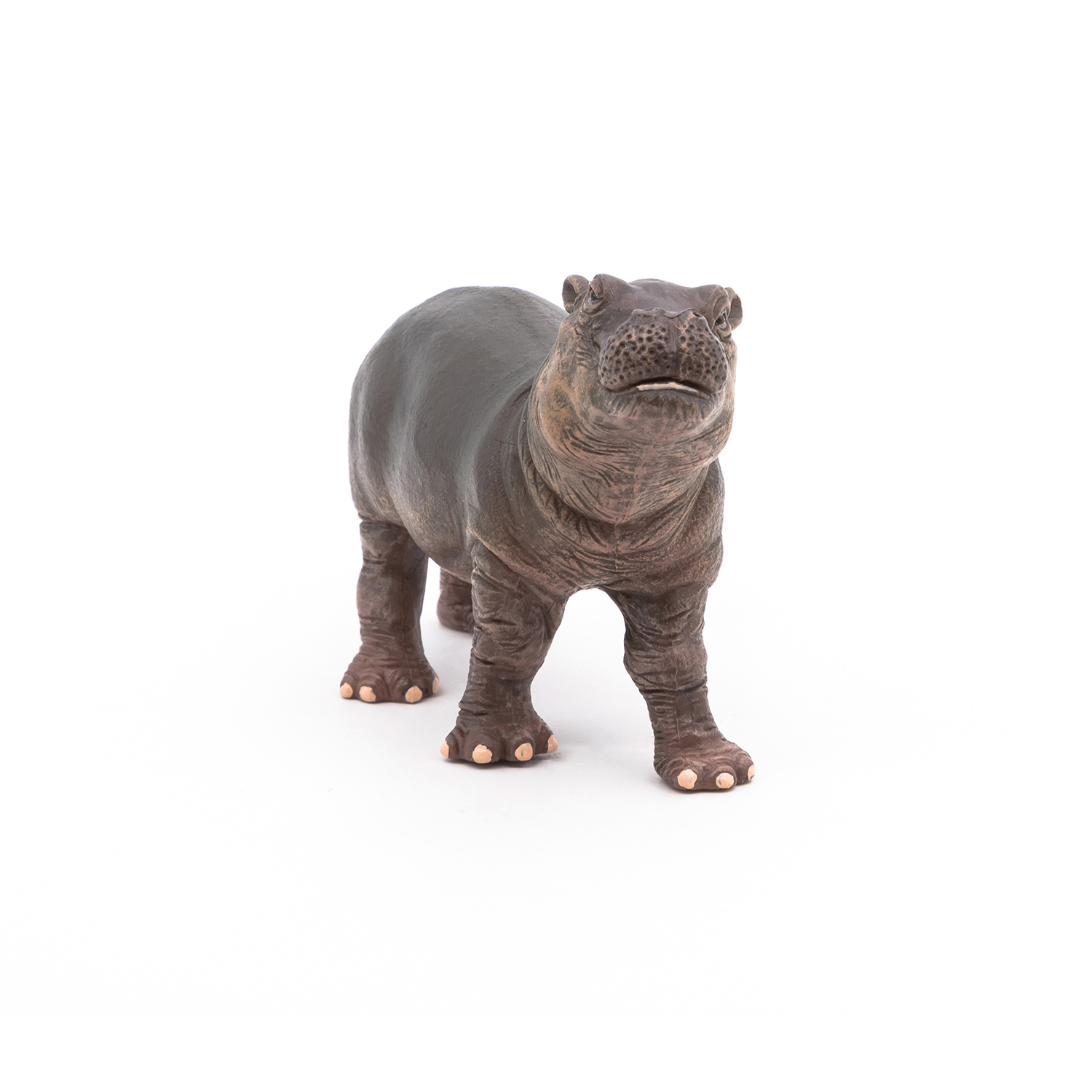 Wholesale Papo - Hippopotamus calf Figurine - William Valentine ...