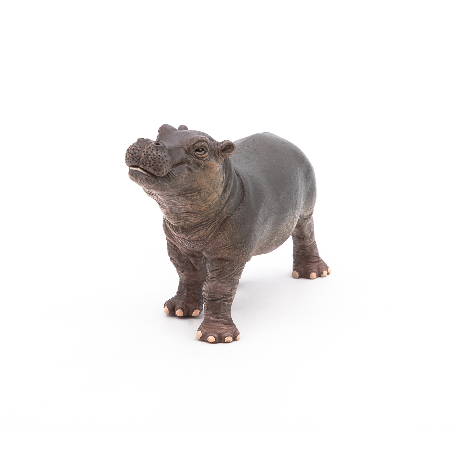 Wholesale Papo - Hippopotamus calf Figurine - William Valentine ...