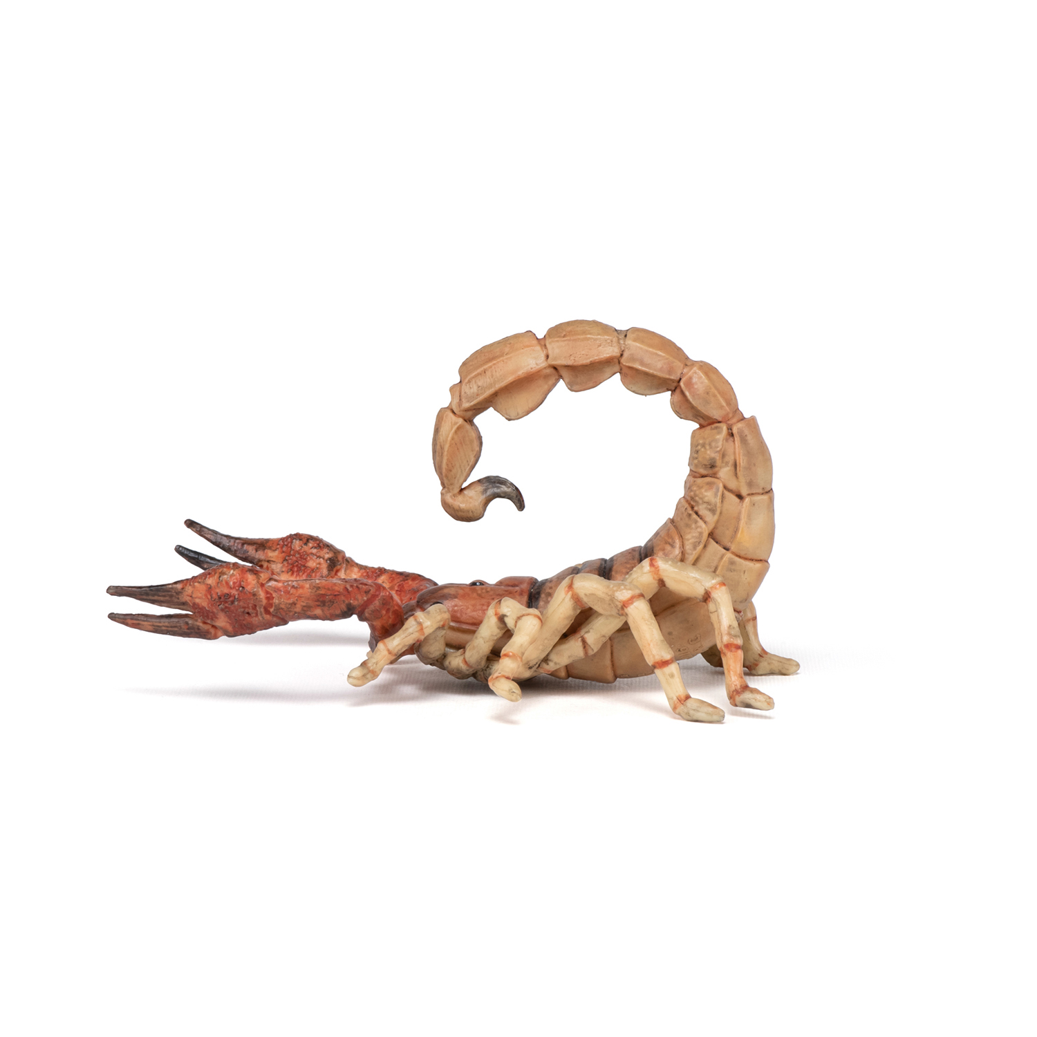 Wholesale Papo - Scorpion Figurine - William Valentine Collection ...