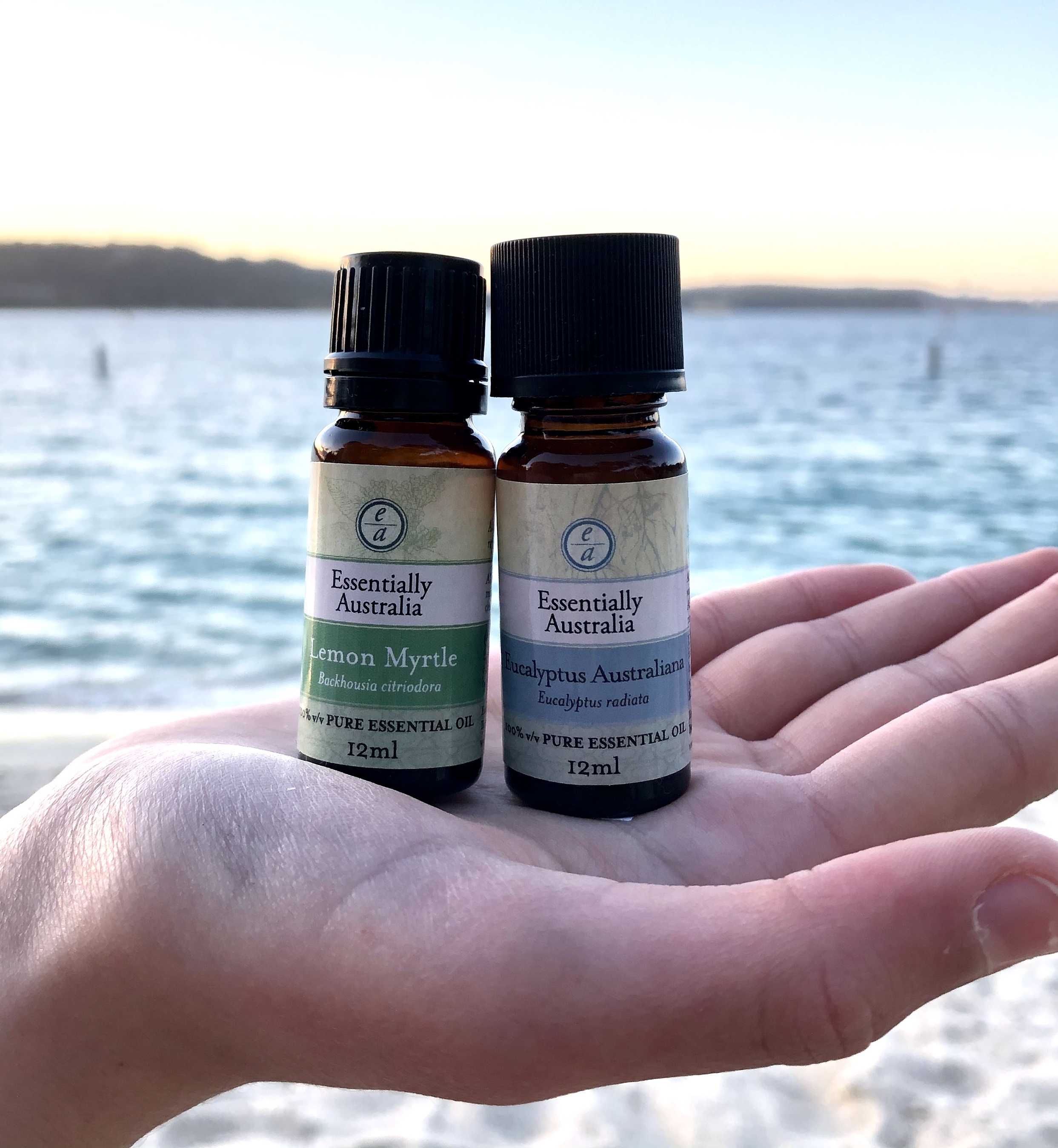 Wholesale 26 piece Eco Laundry Box - Us and The Earth - Fieldfolio