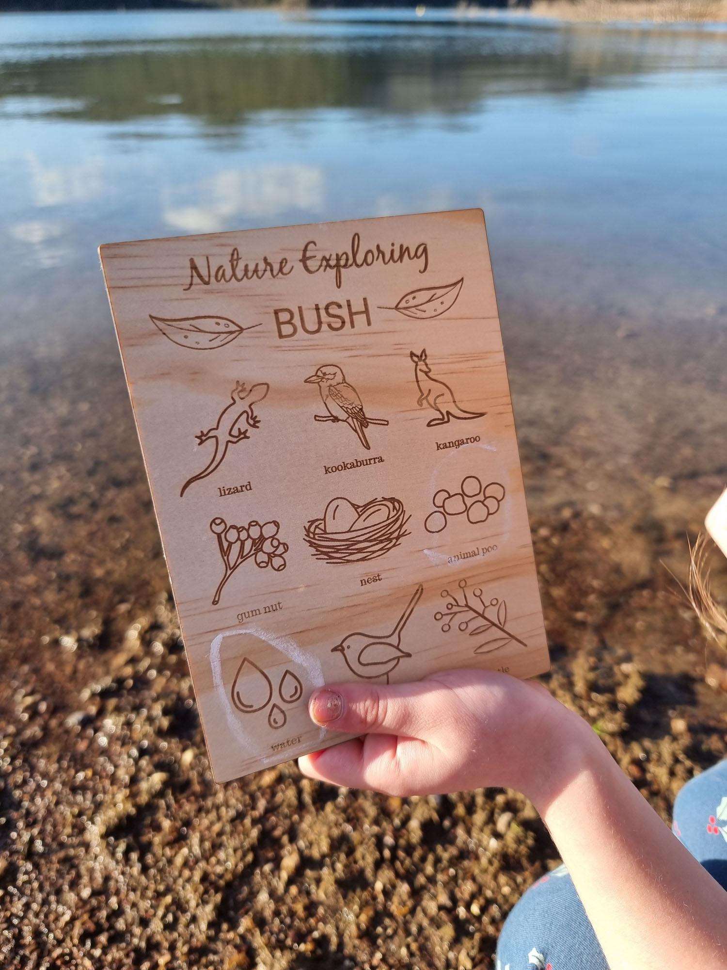 Wholesale NATURE EXPLORING – Bush theme - erin.k creative studio ...