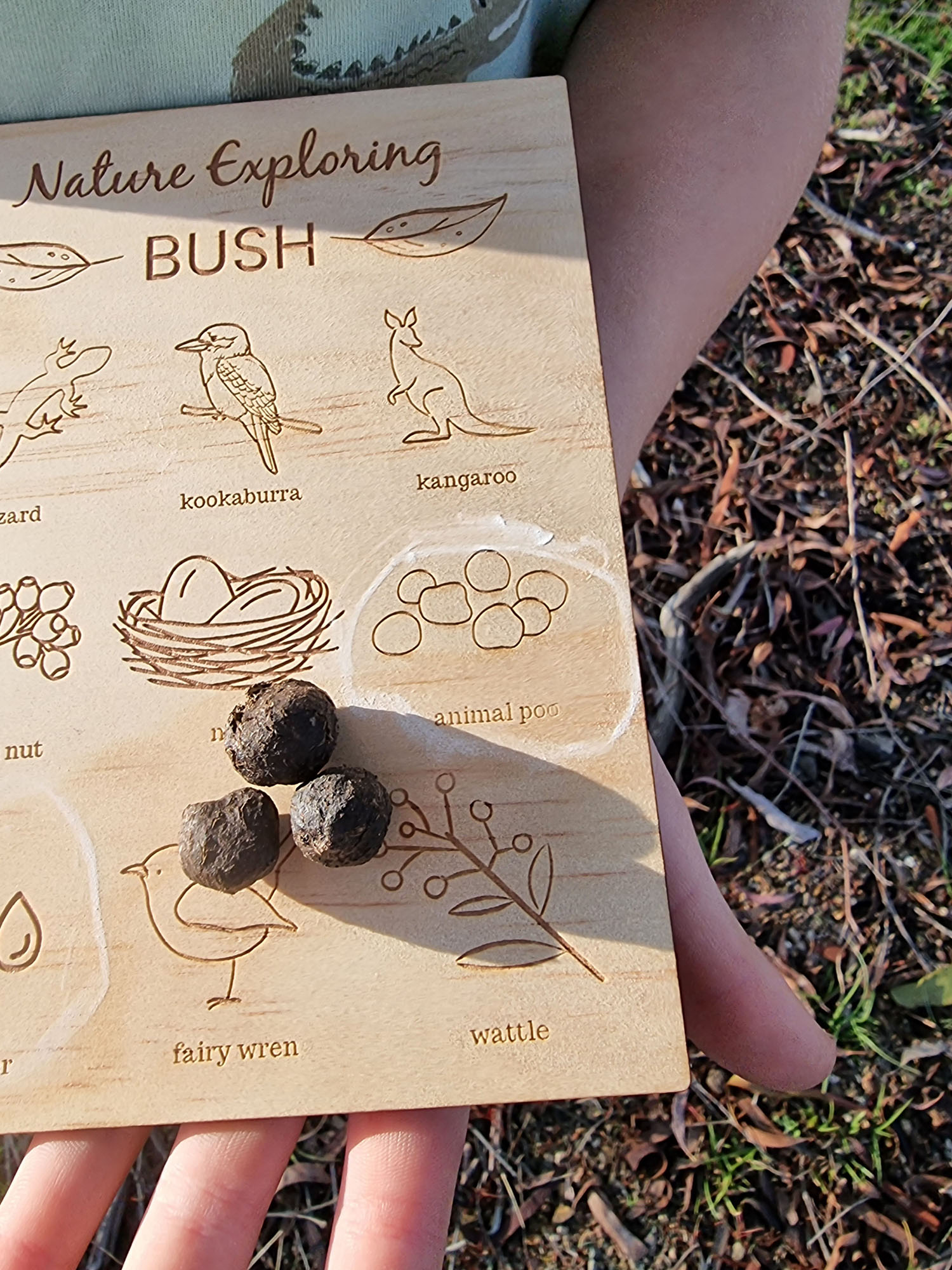 Wholesale NATURE EXPLORING – Bush theme - erin.k creative studio ...