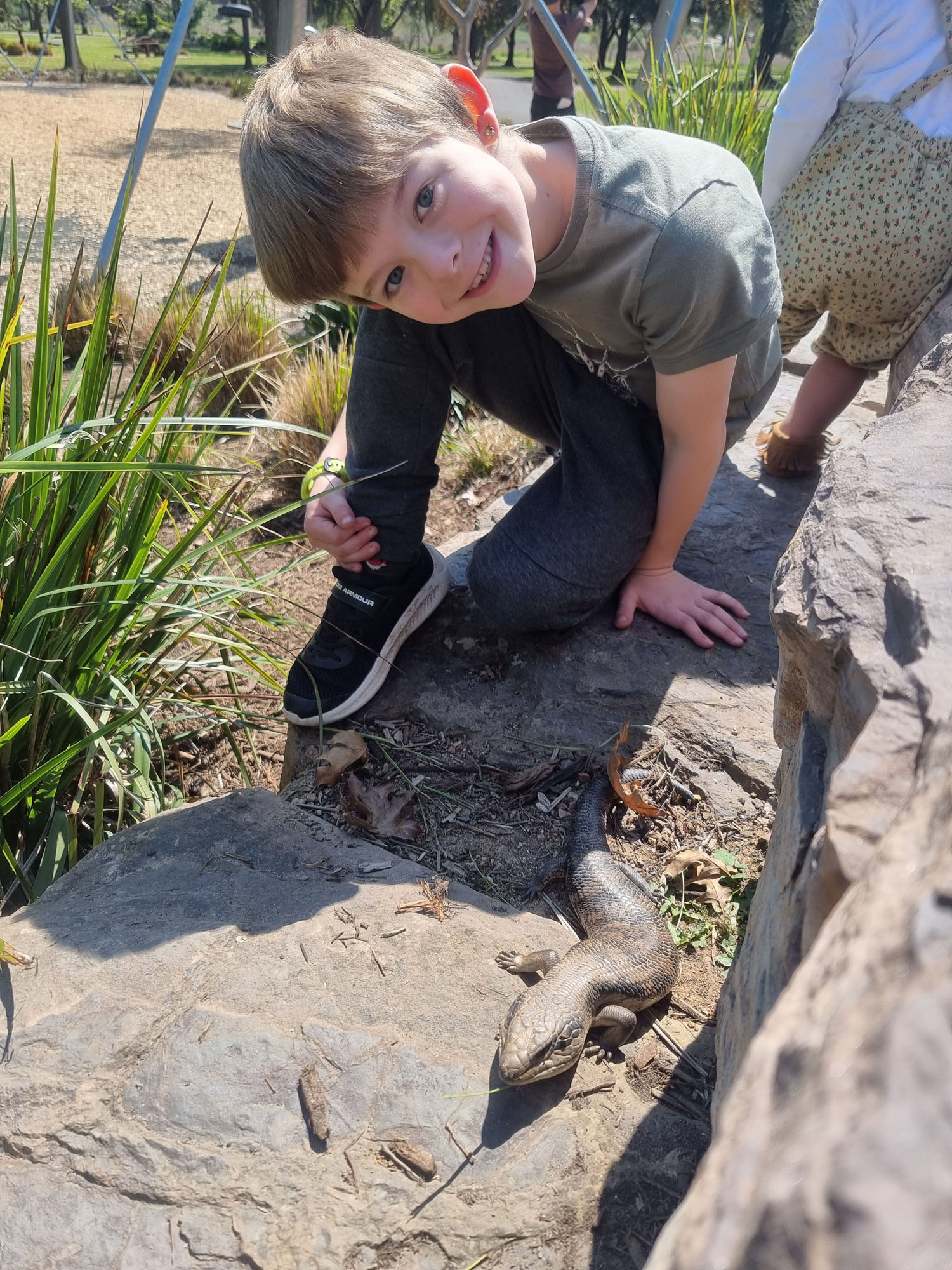 Wholesale NATURE EXPLORING – Bush theme - erin.k creative studio ...