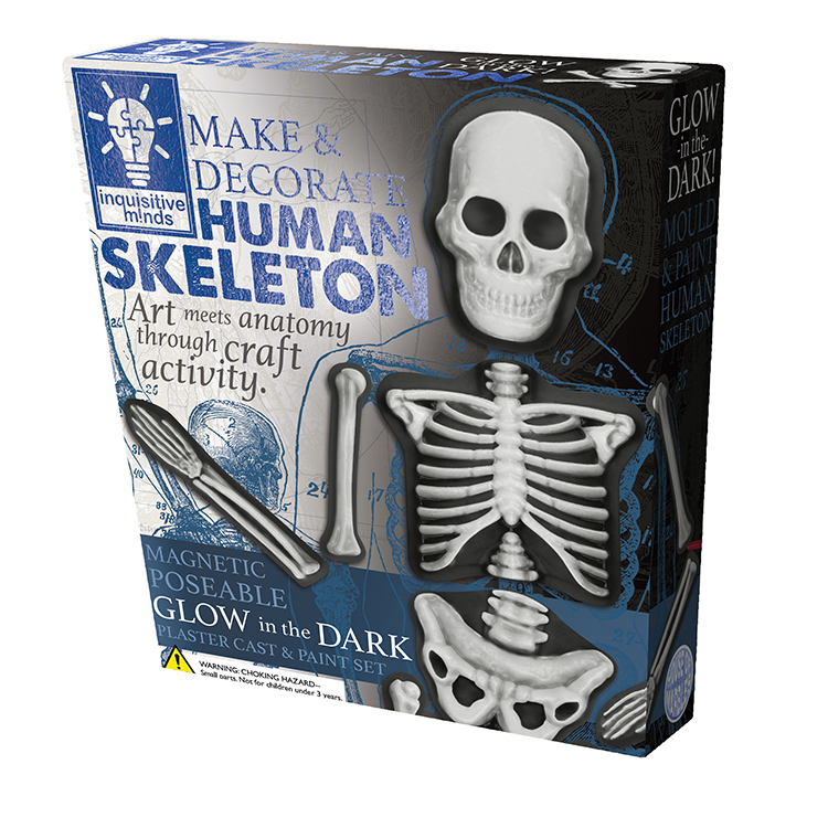 Wholesale Make & Decorate Human Skeleton Kit - House of Marbles - Fieldfolio