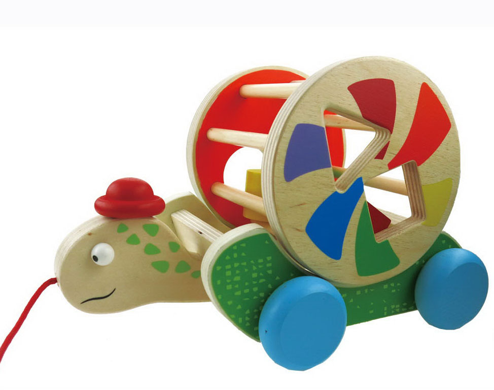 Wholesale Toyslink Pull along Turtle - Fieldfolio