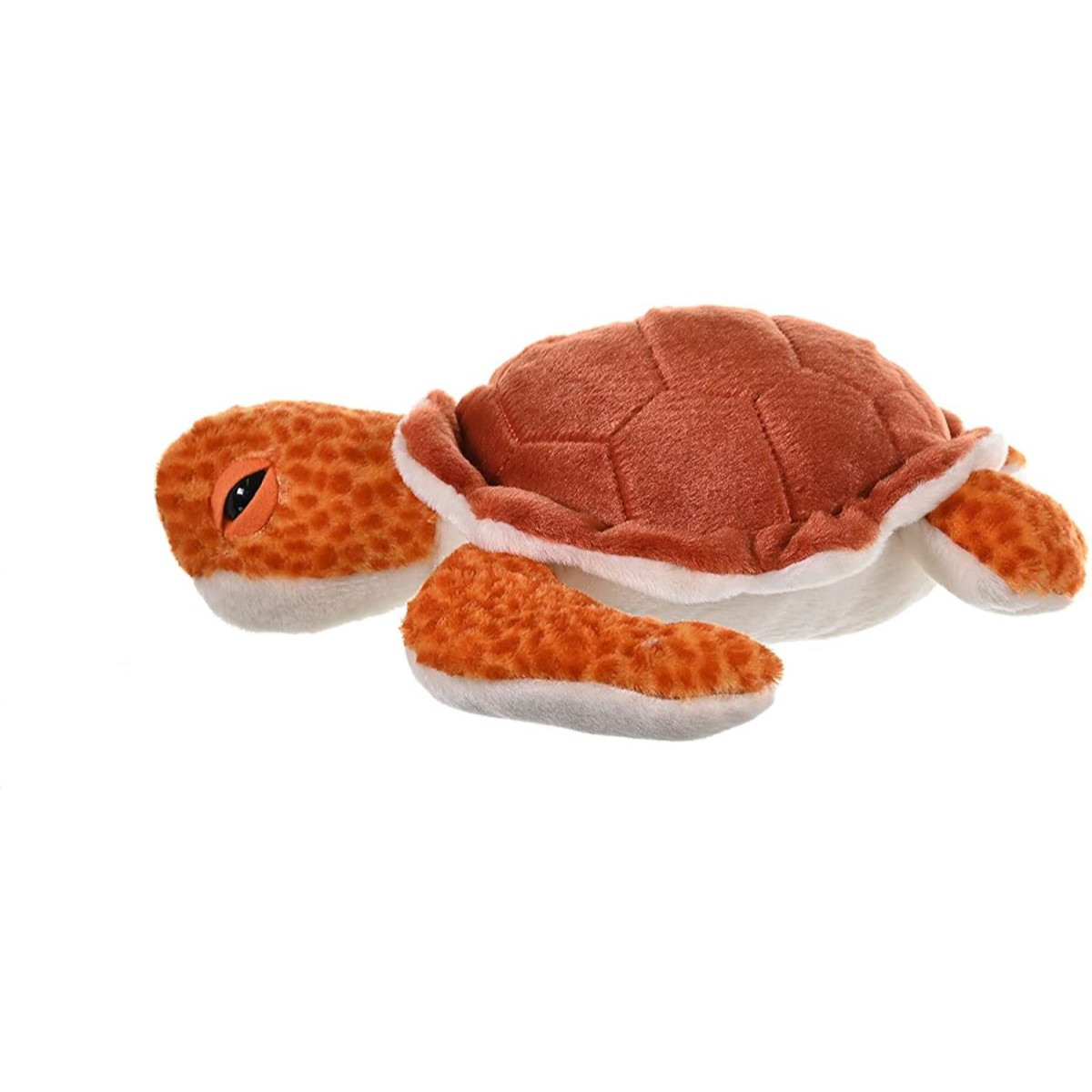 Wholesale CK LOGGERHEAD SEA TURTLE 20 - Wild Republic - Fieldfolio