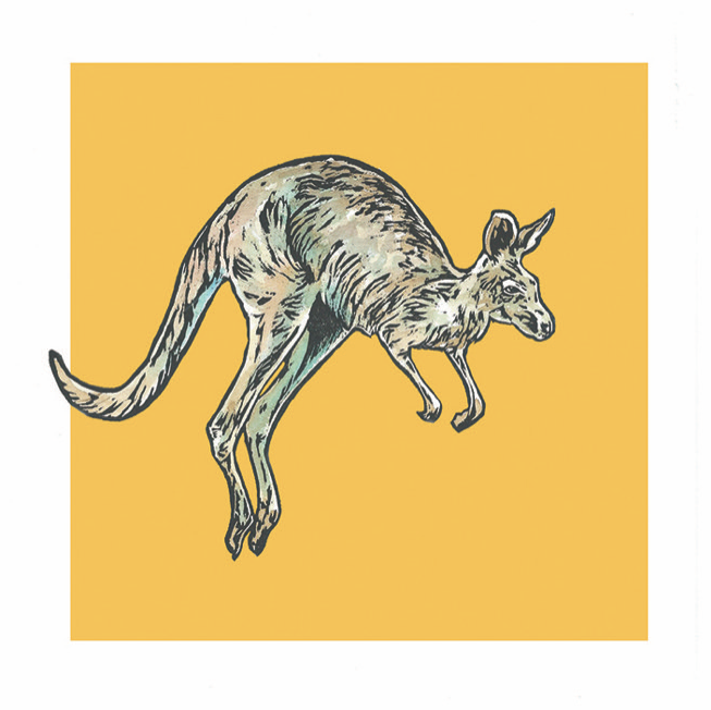 Wholesale Kangaroo Card - IKONINK - Fieldfolio