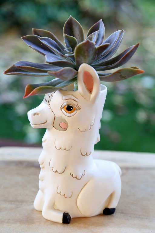 Wholesale LLAMA Planter/Vase ($ 24.15 ea.), H 23.5cm - RIKARO - Fieldfolio