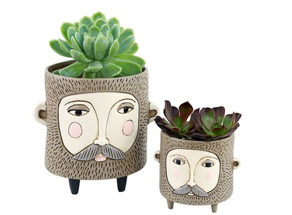 Wholesale Set of 6 - Baby Hairy Jack Planter,H 8.5cm - RIKARO - Fieldfolio