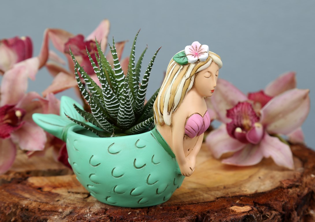 Wholesale Set of 6 - Baby MERMAID planter,12x15.5cm - RIKARO - Fieldfolio