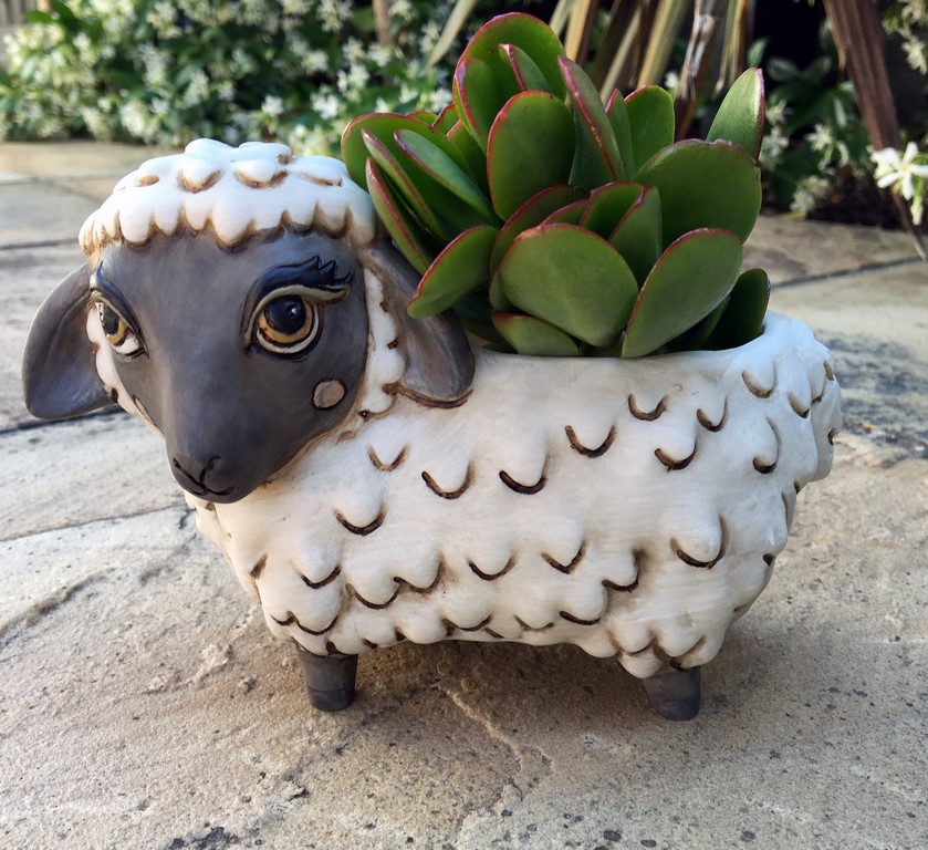 Wholesale Set of 6 - Baby black SHEEP Planter, W 16cm - RIKARO - Fieldfolio