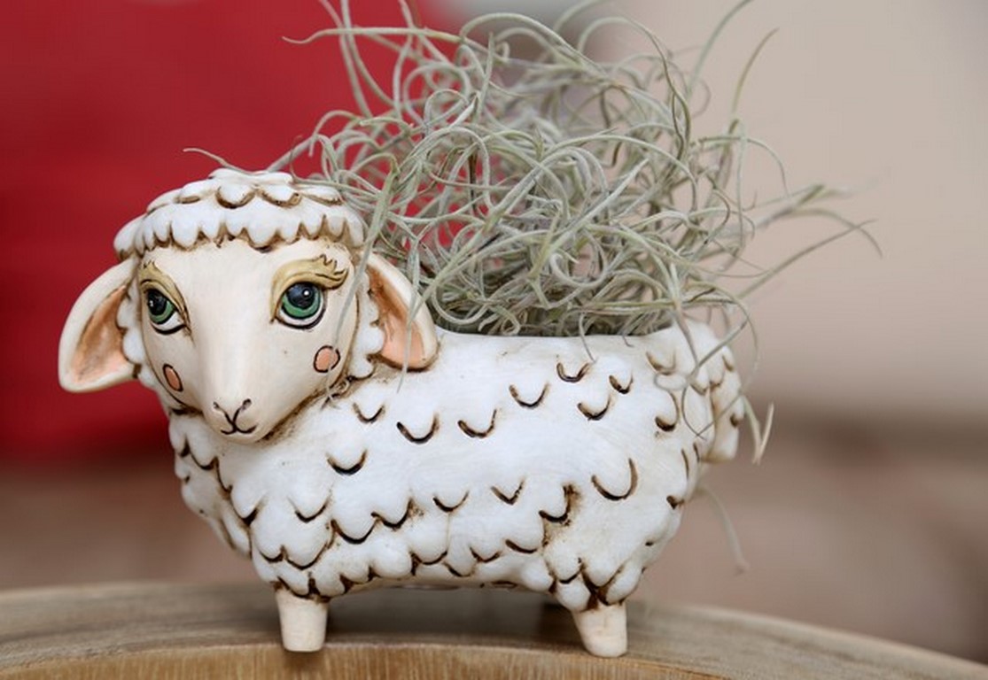 Wholesale Set of 6 - Baby white SHEEP Planter, W 16cm - RIKARO - Fieldfolio