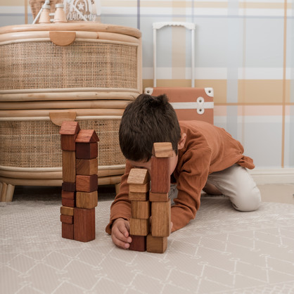 Wholesale In-wood - Bag of Blocks, assorted, 26 pcs - Axis Toys & Gifts ...