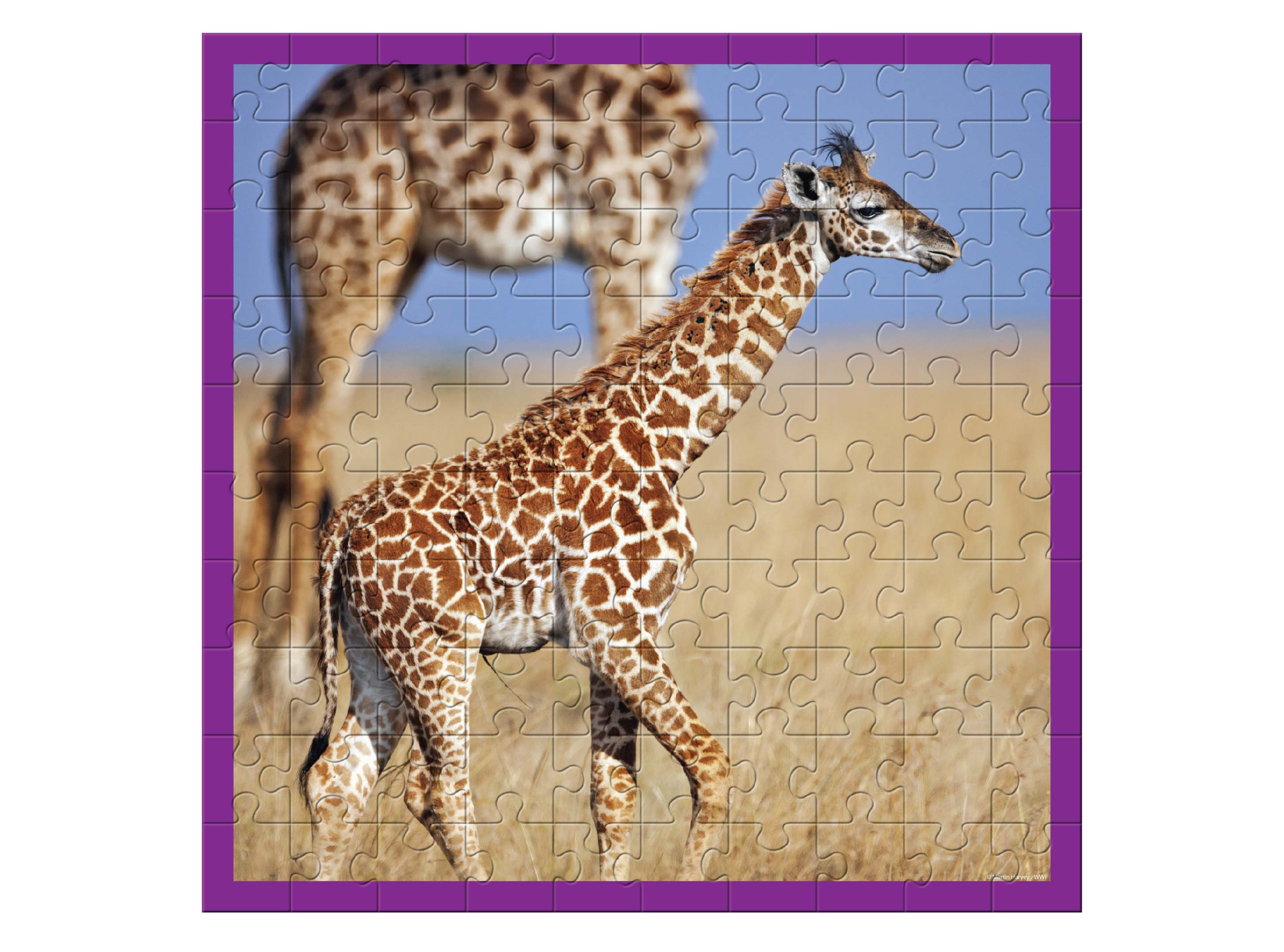 Wholesale WWF 100 Piece Puzzle - Giraffes - Axis Toys & Gifts - Fieldfolio