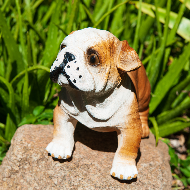 Wholesale Bulldog Stand - Ewaterfeatures Pty Ltd - Fieldfolio