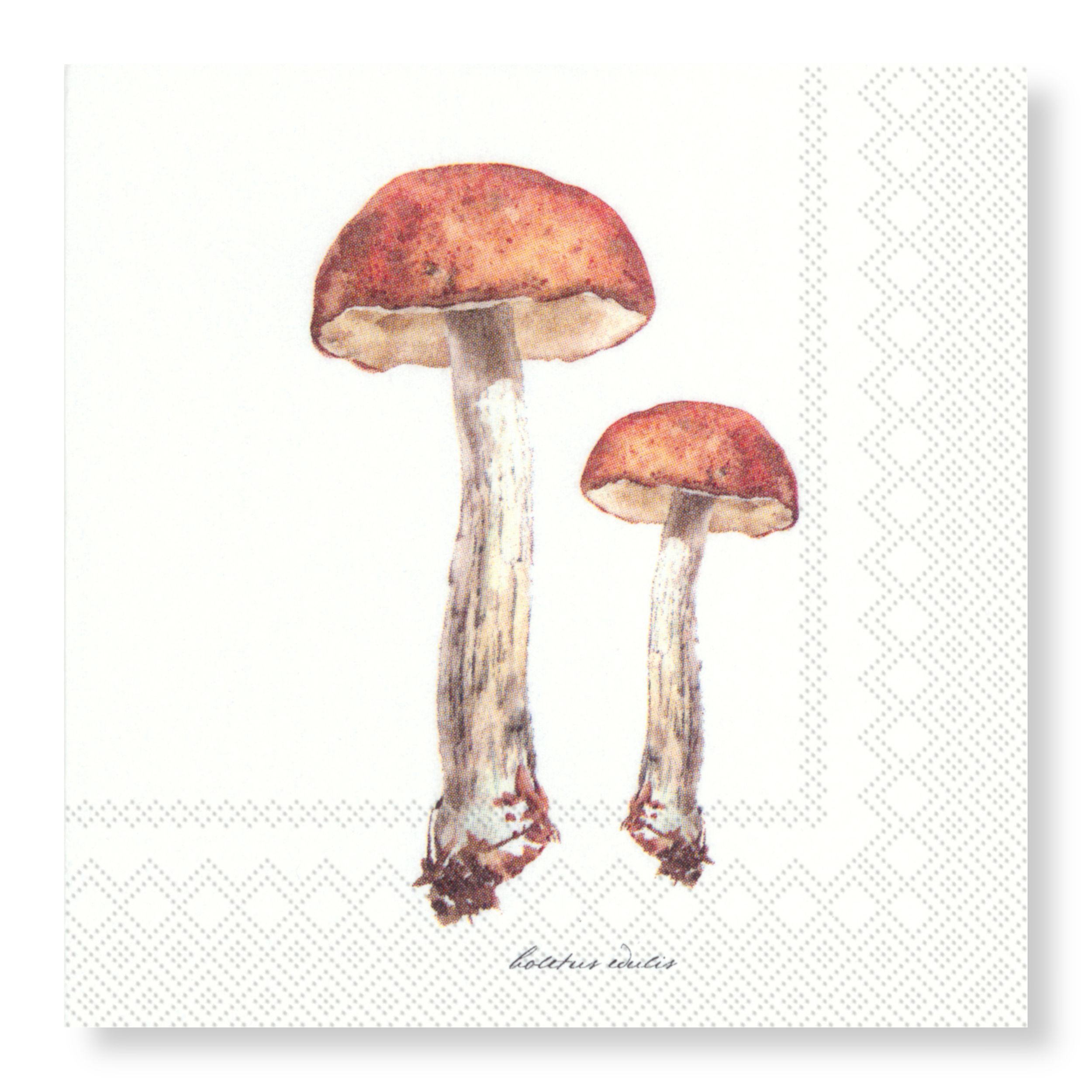 Wholesale Porcini Napkins - Cocktail - Manor Road - Fieldfolio