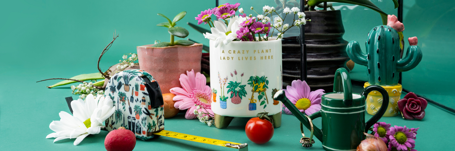 Shop Nibble Distributors Wholesale - Fieldfolio