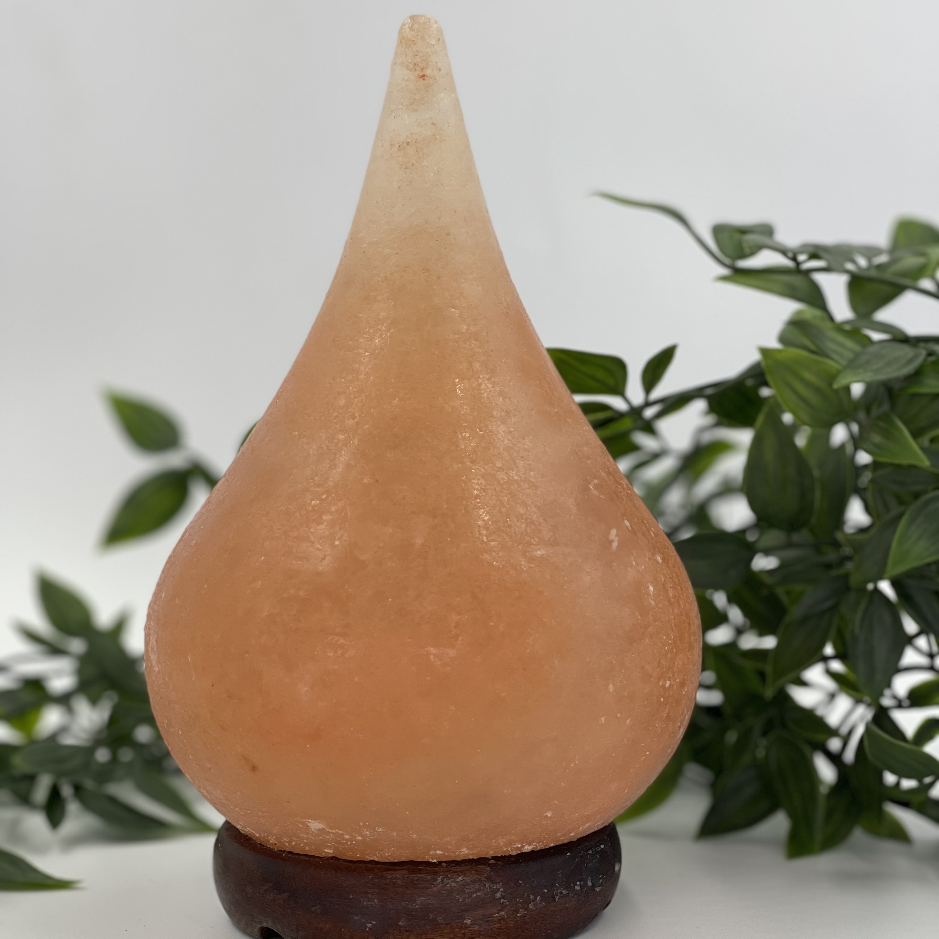 Wholesale Tear Drop Himalayan Salt Lamp - Earth Saltz - Fieldfolio