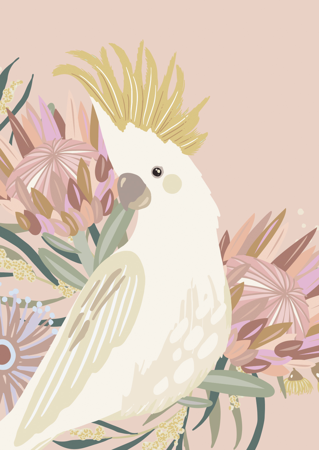 Wholesale Pink Sulphur Crested Cockatoo on Pastel - Aero Images ...
