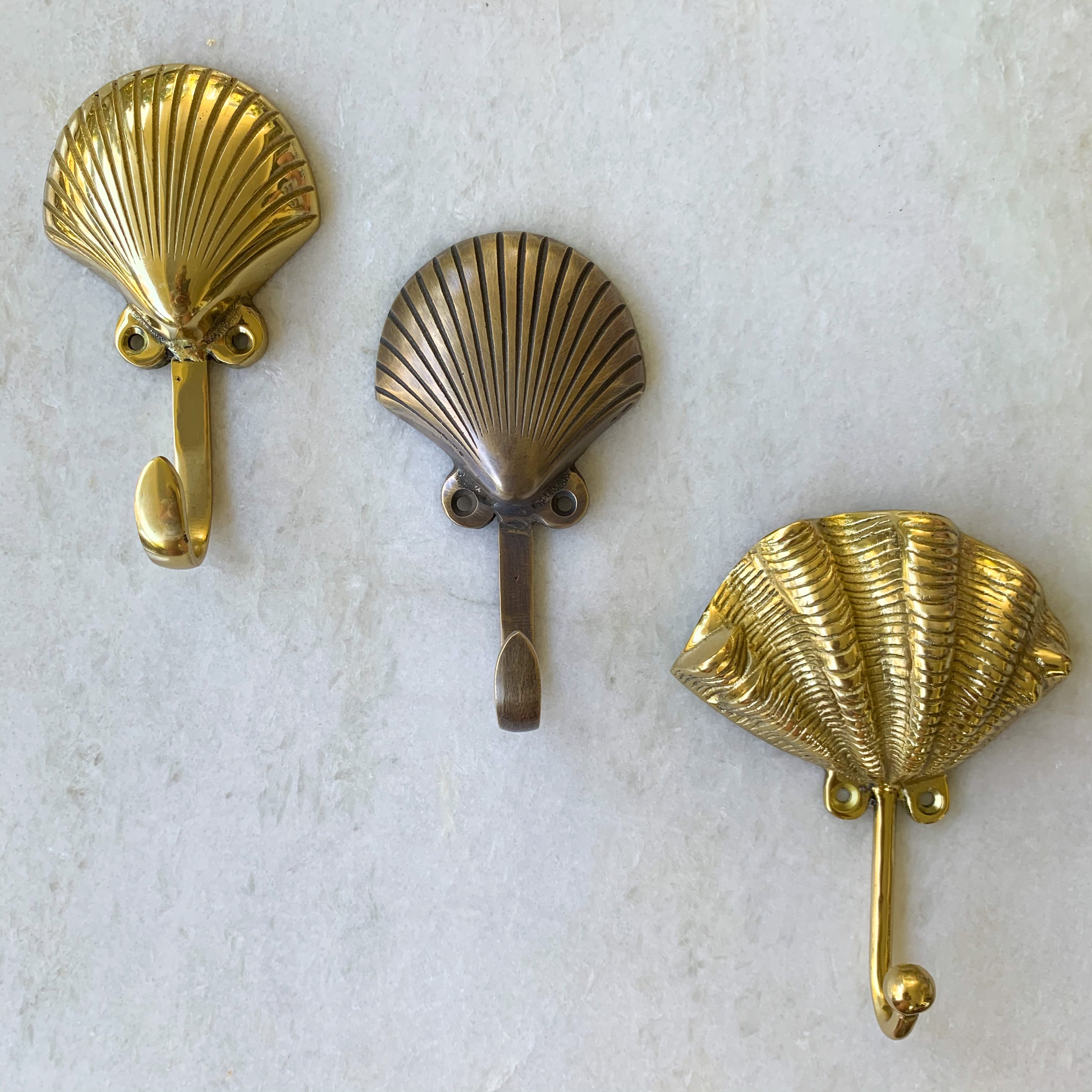 Wholesale Shell Brass Hook Ocean Luxe Fieldfolio