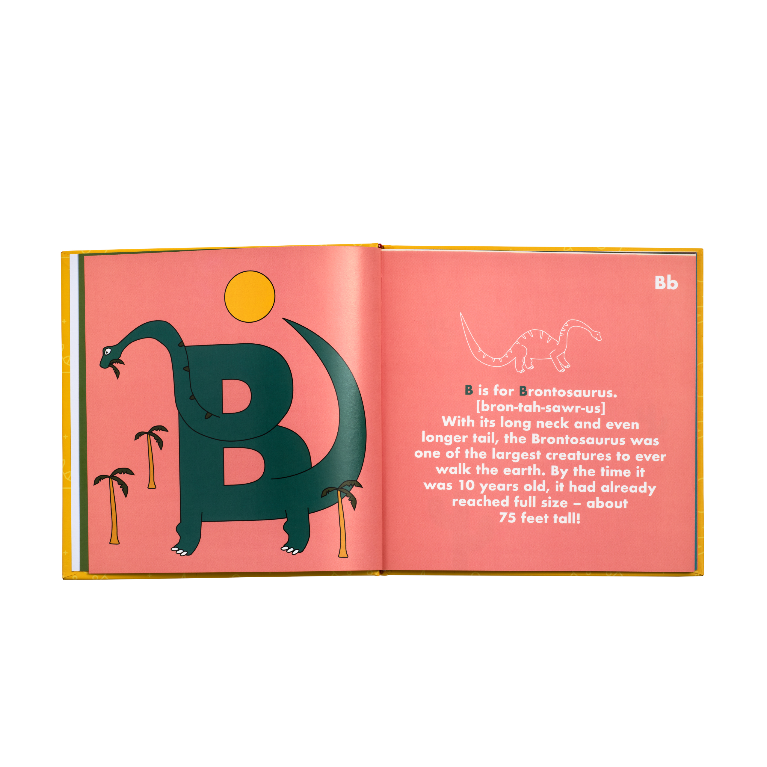 Wholesale Dino Alphabet Book - You Monkey - Fieldfolio