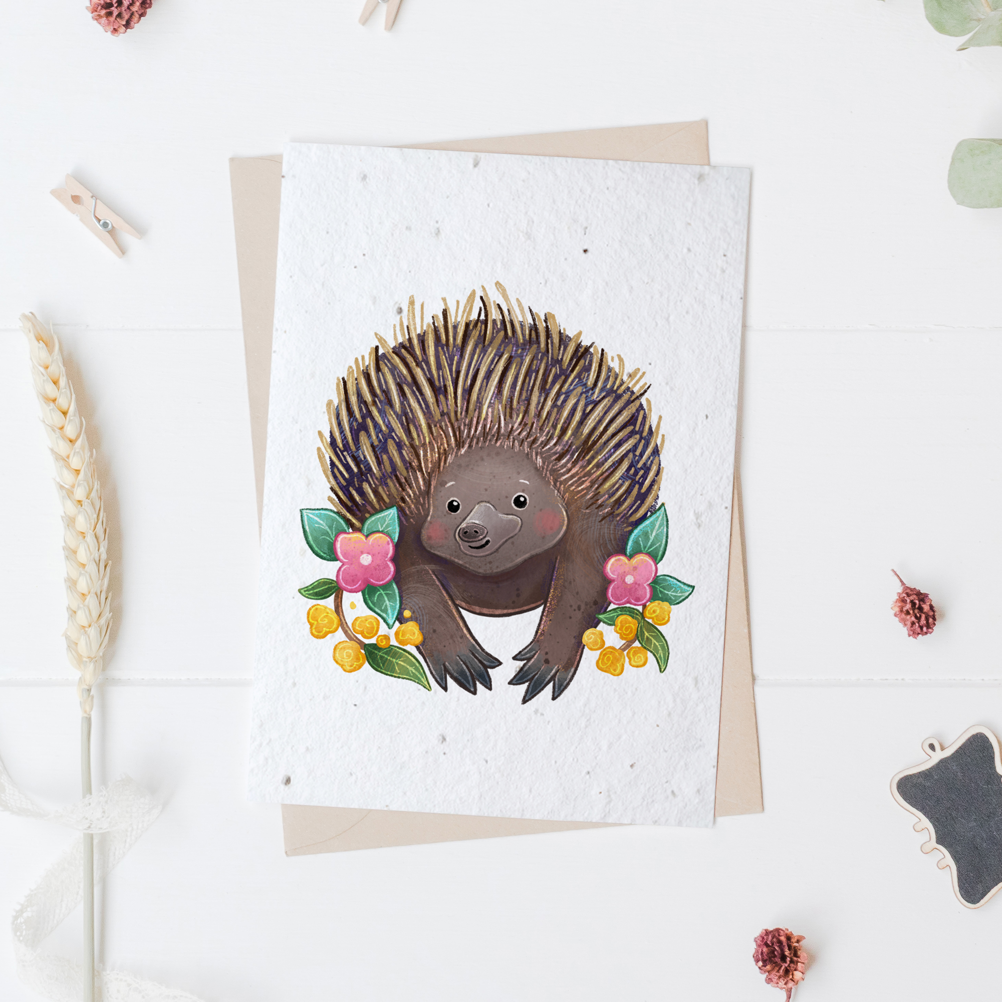 Wholesale Plantable echidna recycled card - Stray Leaves - Fieldfolio