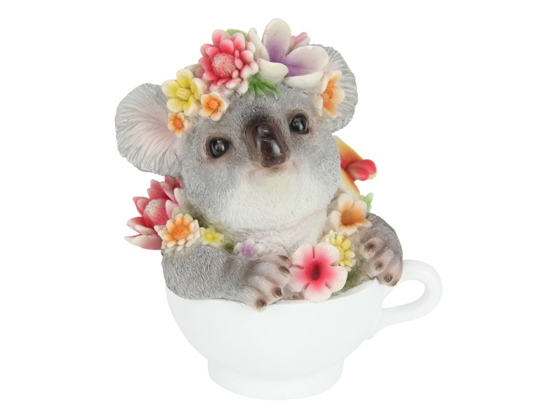 teacup koala