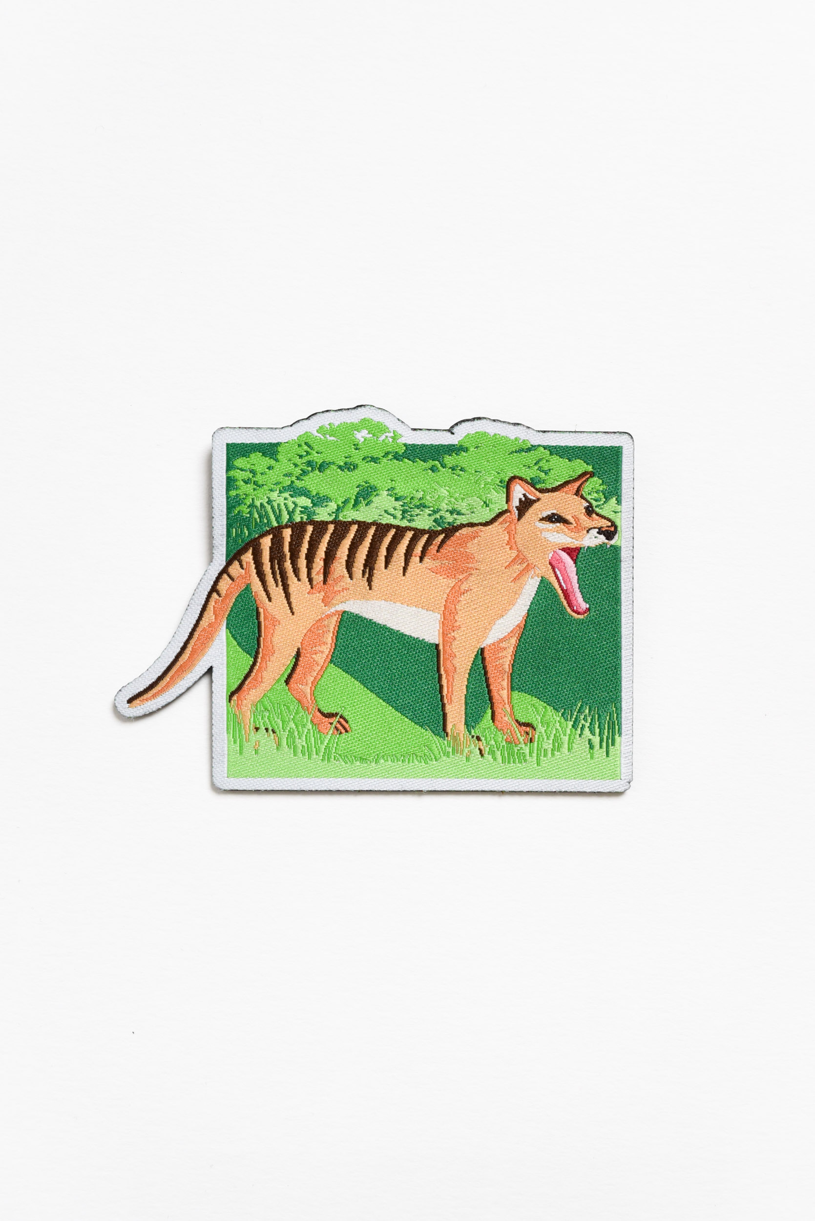 Wholesale Tasmanian Tiger (Thylacine) - COLLECTAPIC™ - Fieldfolio