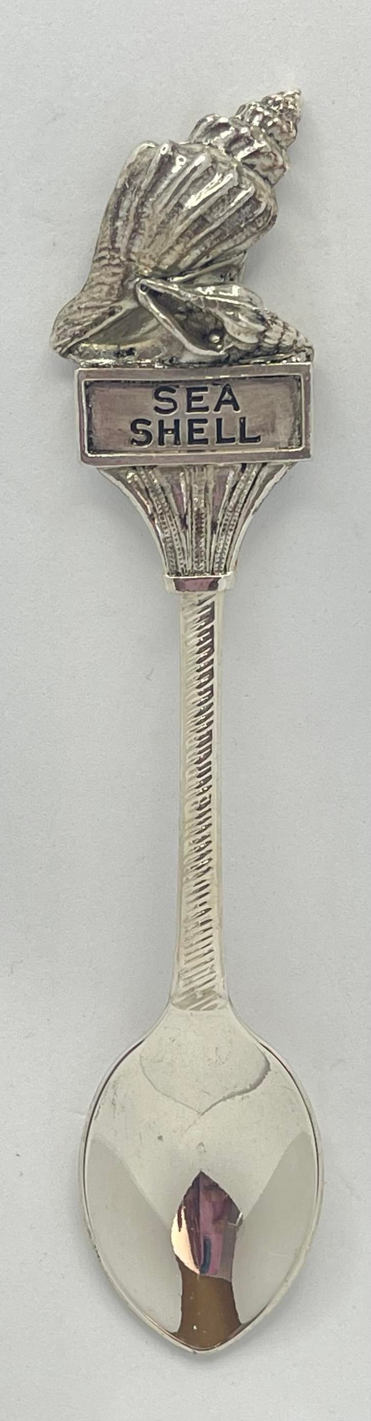 Wholesale SEA SHELL Steel Spoon - Australian Tourist Souvenirs - Fieldfolio