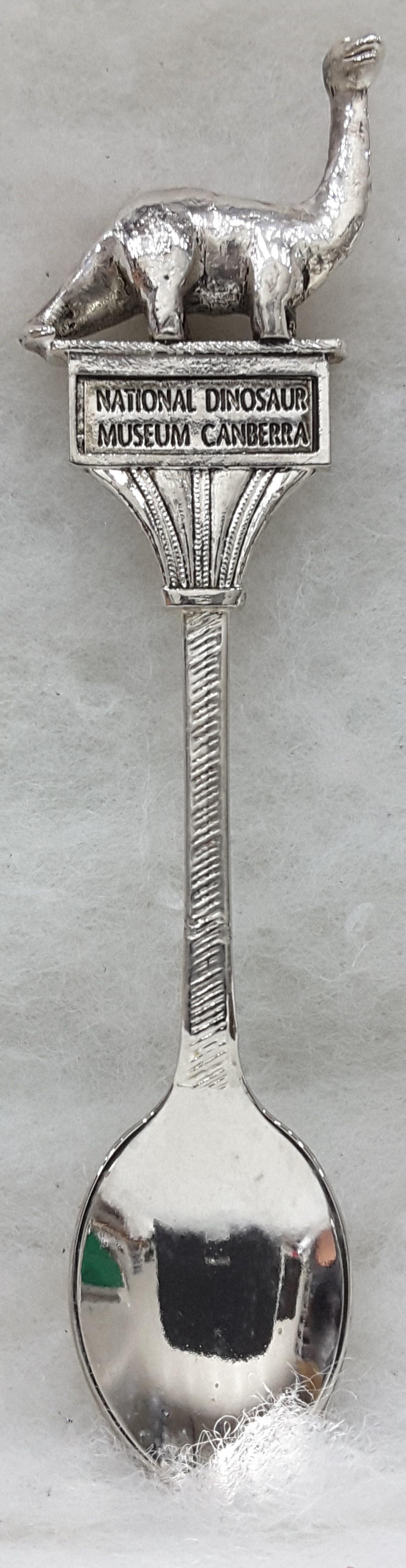 Wholesale DINOSAUR - LONG NECK Steel Spoon - Australian Tourist ...