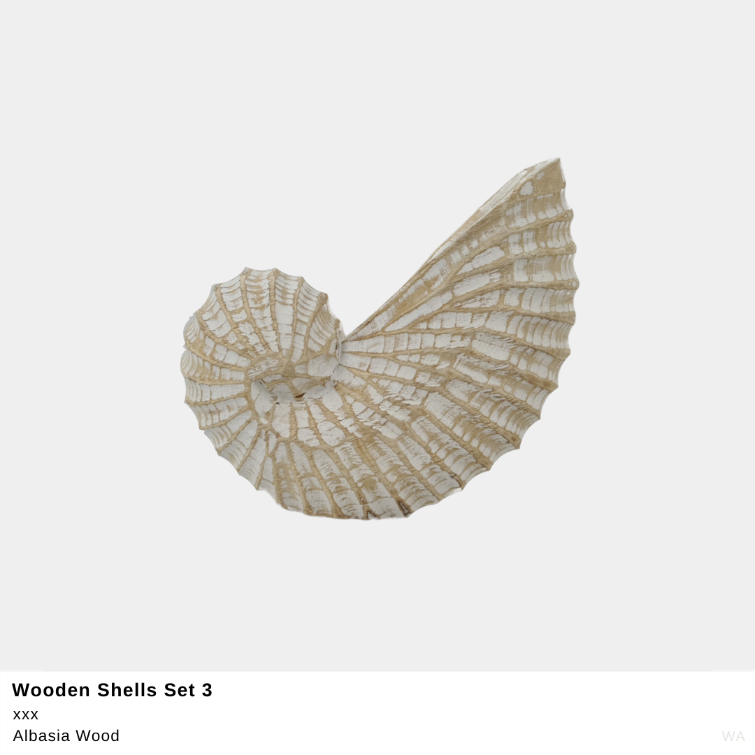Wholesale Wooden Shells Set 3 - ColCam Enterprises - Fieldfolio