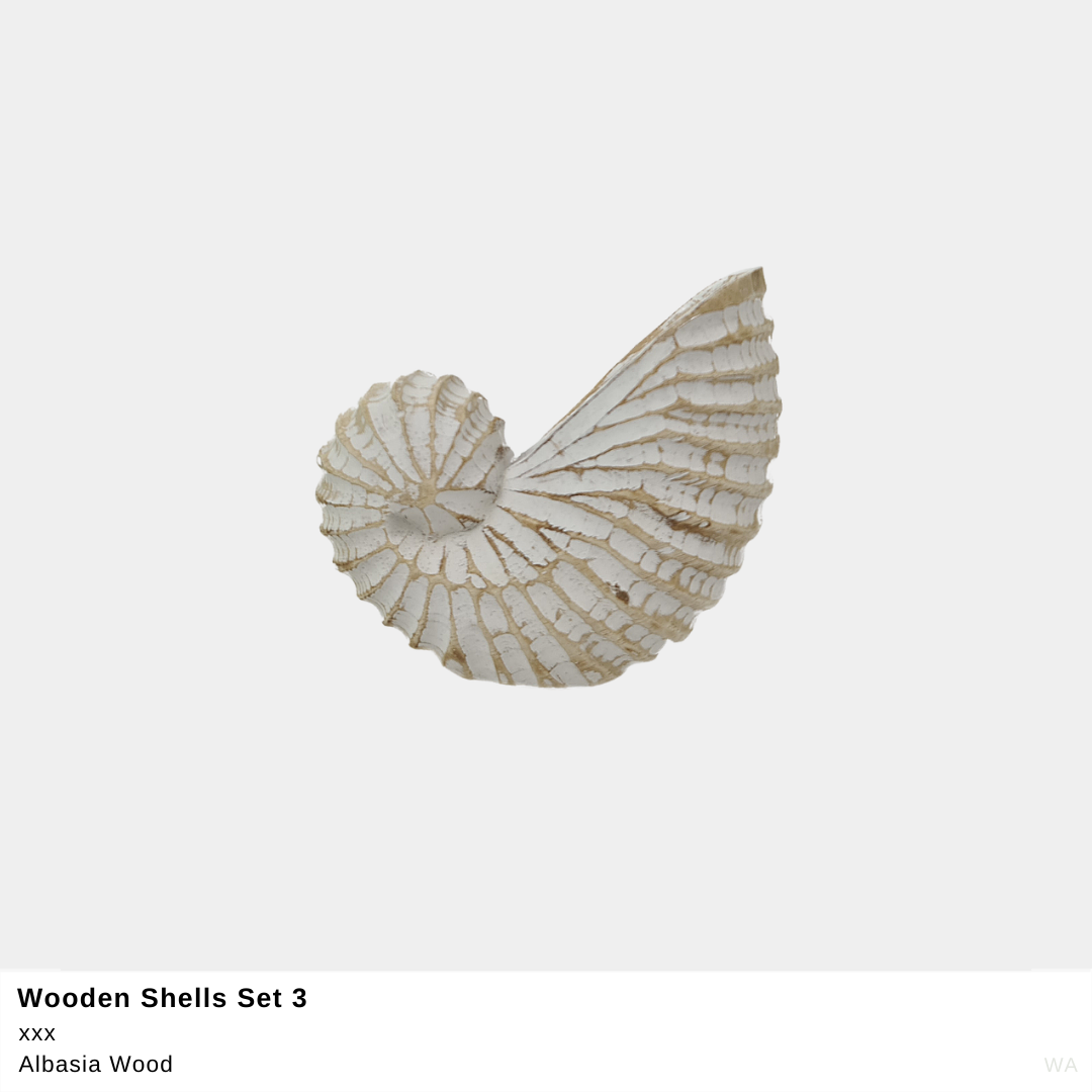 Wholesale Wooden Shells Set 3 - ColCam Enterprises - Fieldfolio