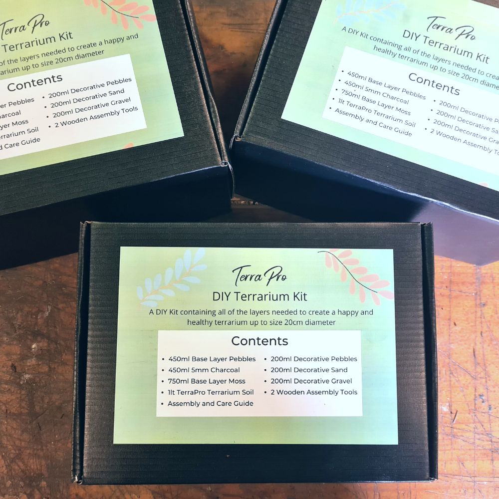 Wholesale DIY Terrarium Kit - Flower and Twig - Fieldfolio