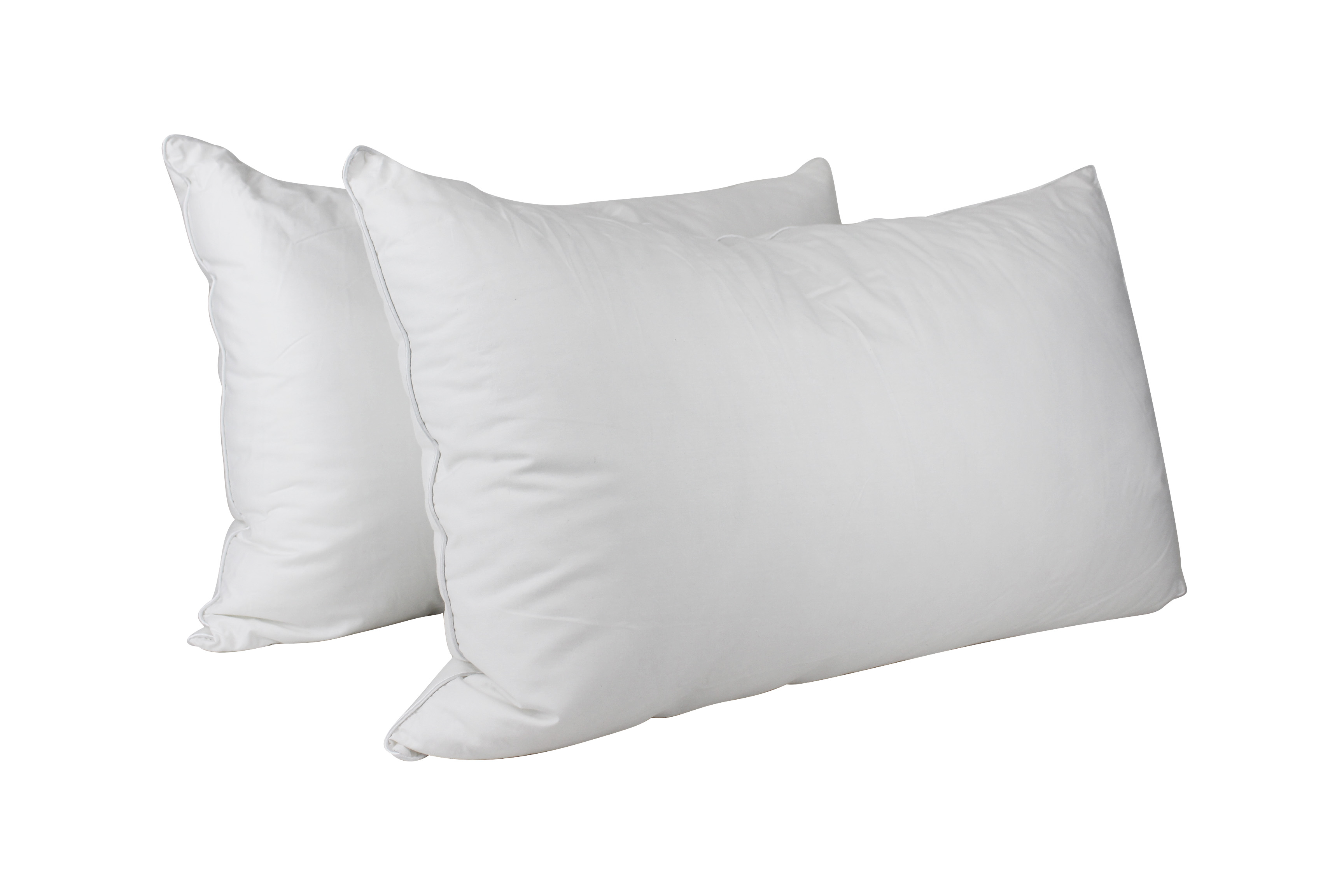 Wholesale Ecofresh 2pk Pillow 900gms - Bas Phillips - Affiniti Living ...