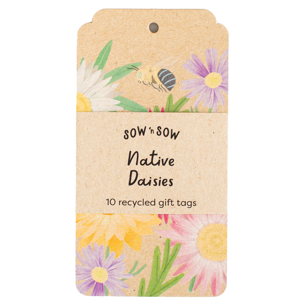 Wholesale Native Daisies Gift Tag Ð 10 Pack - Sow 'n Sow - Fieldfolio