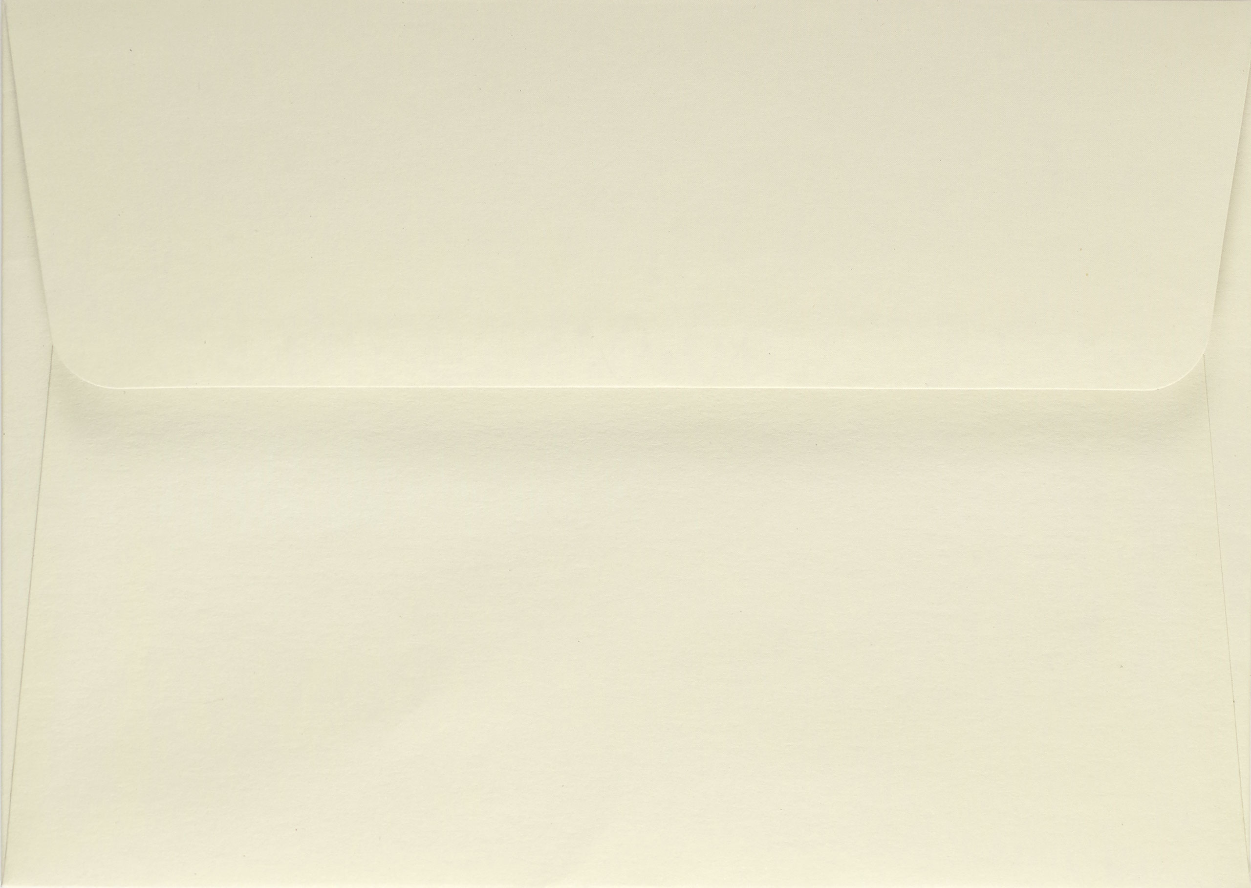 Wholesale Falling Blossoms Note Cards - Peter Pauper Press - Fieldfolio