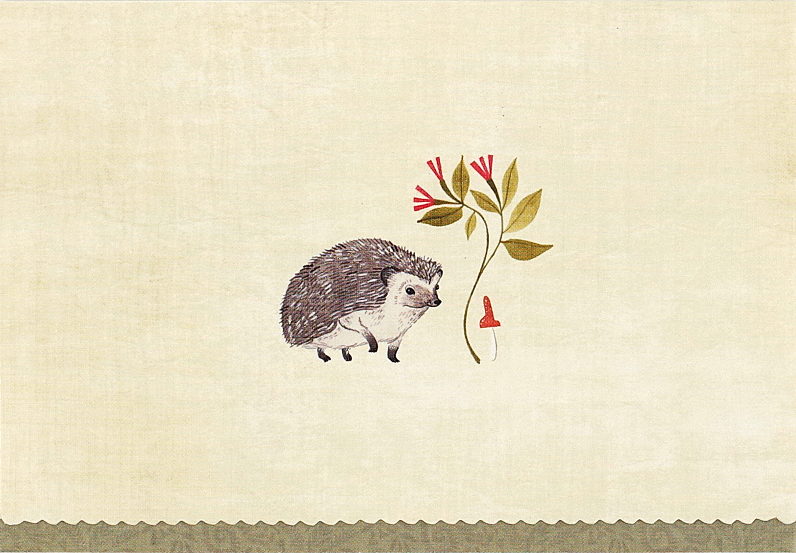 Wholesale Hedgehog Note Cards - Peter Pauper Press - Fieldfolio