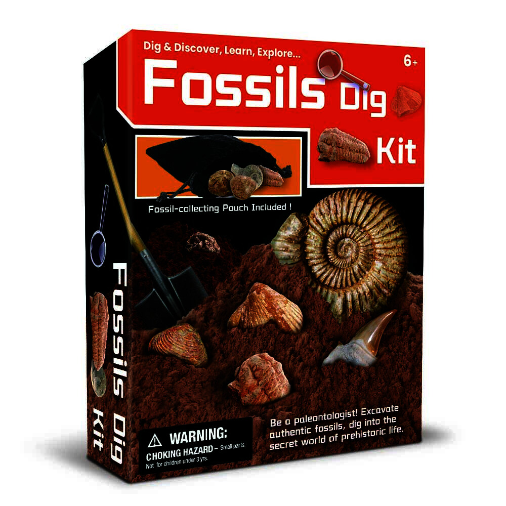 Wholesale DIG & DISCOVER FOSSILS DIG KIT - Eleganter Australia Pty Ltd ...