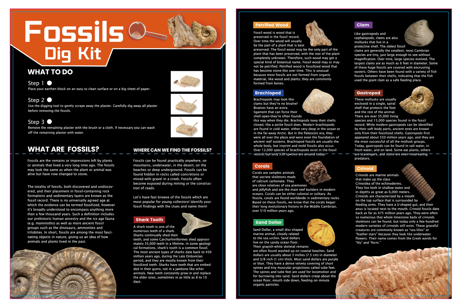 Wholesale DIG & DISCOVER FOSSILS DIG KIT - Eleganter Australia Pty Ltd ...