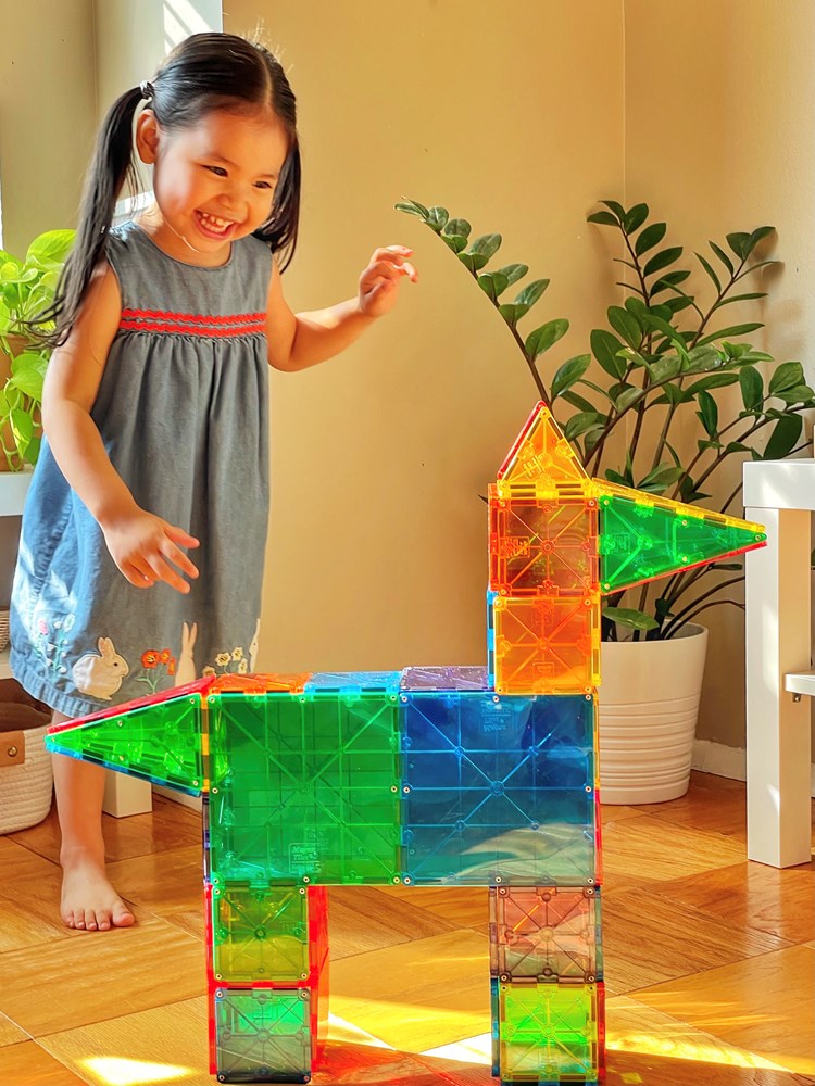 Wholesale MAGNA-TILES - Classic - 100 Piece Set - Johnco - Fieldfolio