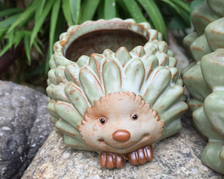Wholesale Ceramic Hedgehog Pot - Sunrise Accessories - Fieldfolio