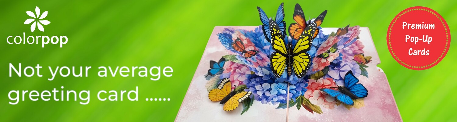 Shop Color Pop Cards Wholesale - Fieldfolio