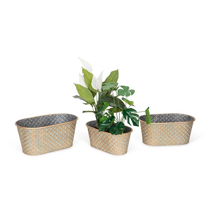 Wholesale Pot Oblong Verdi S/3 - Alfresco Gardenware - Fieldfolio