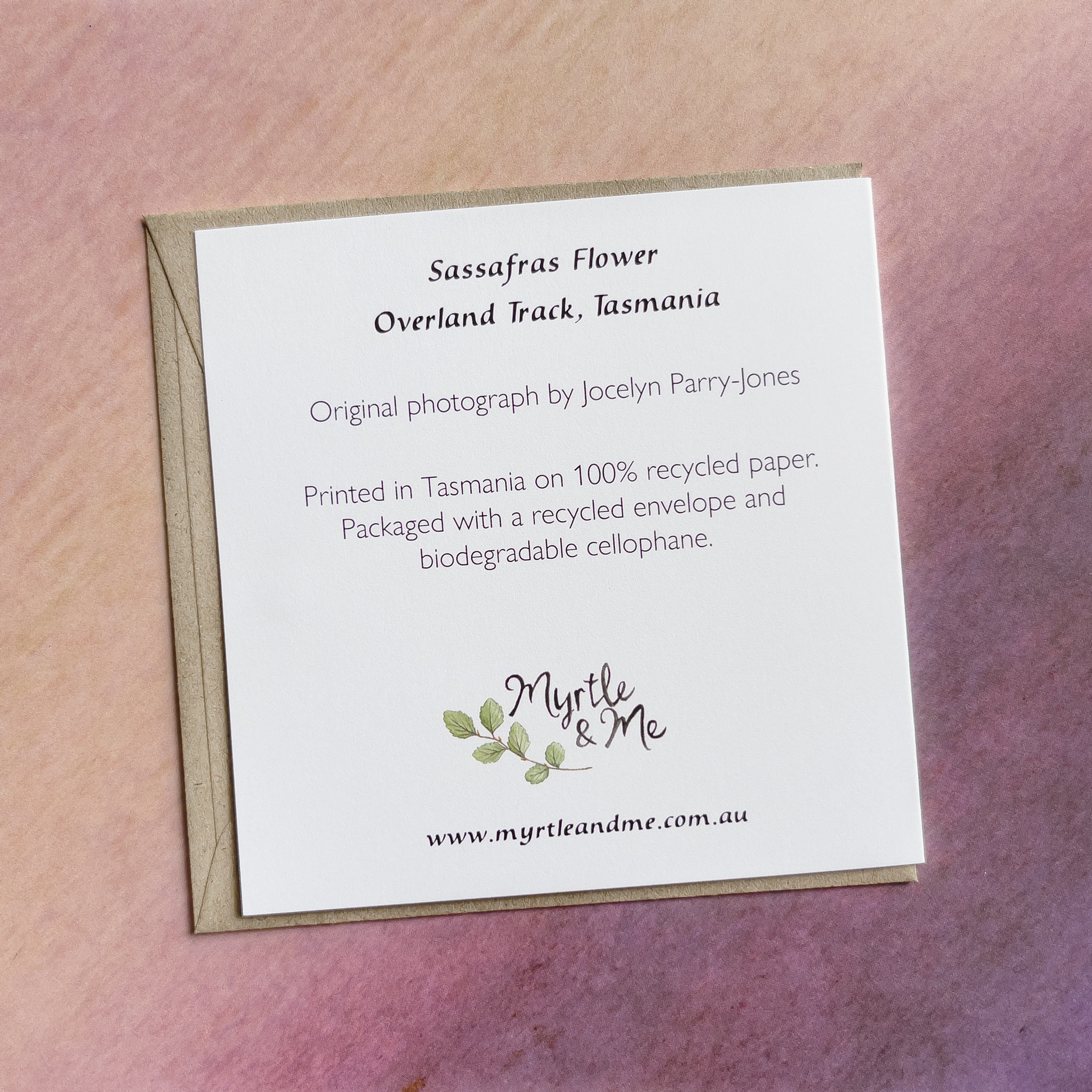 Wholesale Sassafras Flower - Greeting Card - Myrtle & Me - Fieldfolio